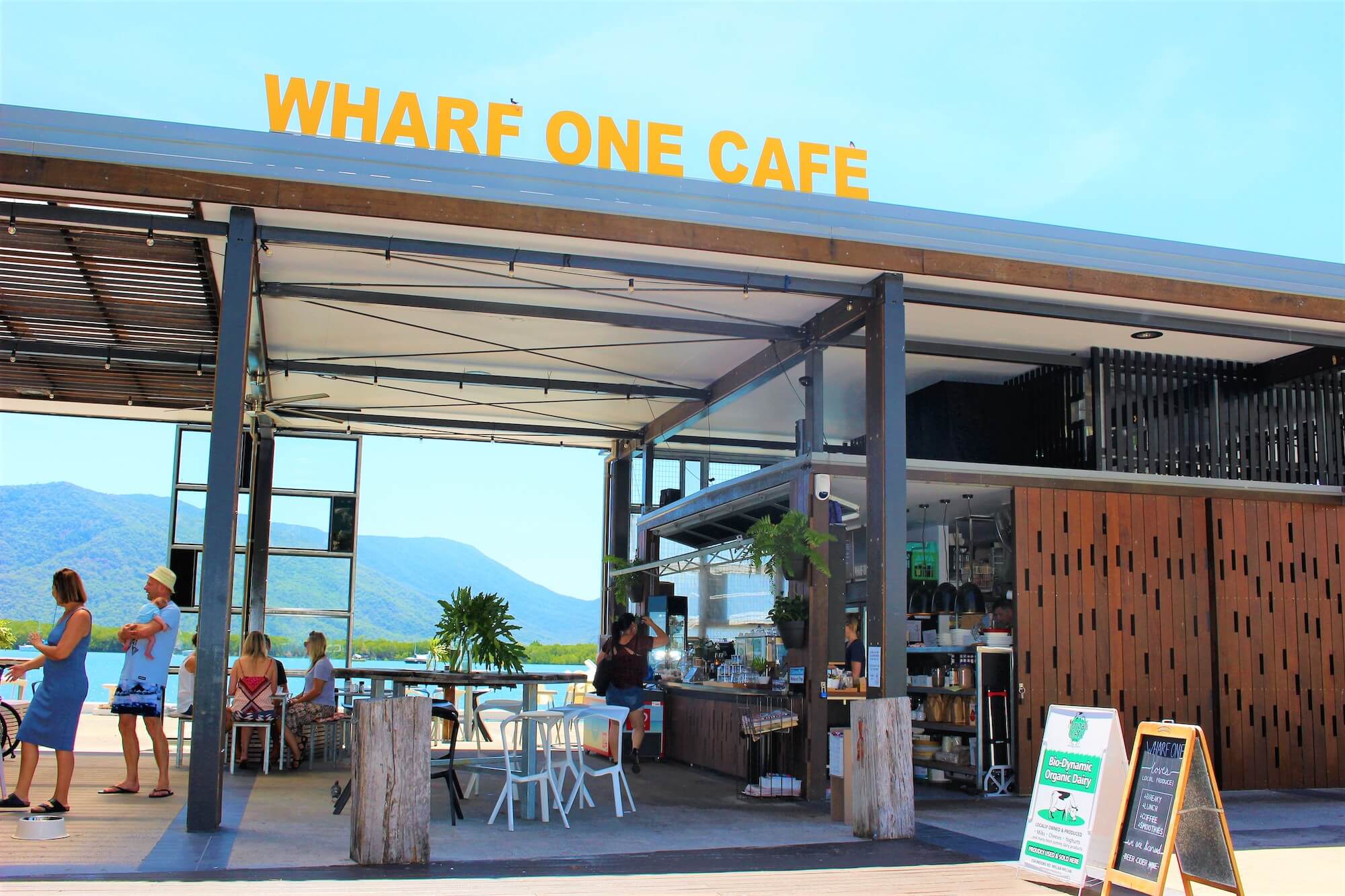 Cairns & Great Barrier Reef | インスタライブ with 競泳日本代表大本里佳選手